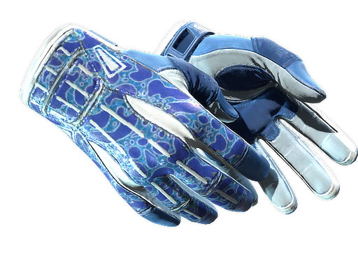 Sport Gloves | Amphibious (Minimal Wear)